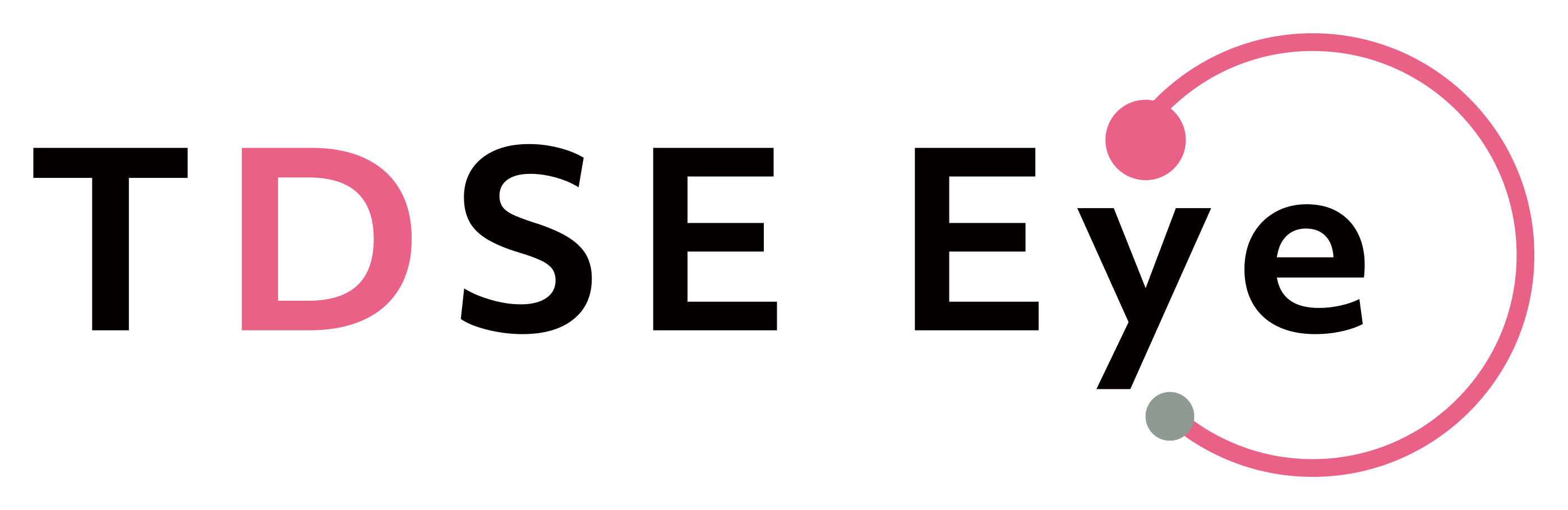 TDSE Eyeドキュメント